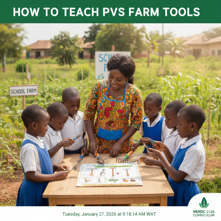 Primary 4 second term PVS lesson notes on farm tools 2026